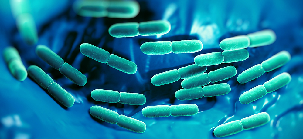 Something to Digest: Facts About Lactobacillus GG | Culturelle
